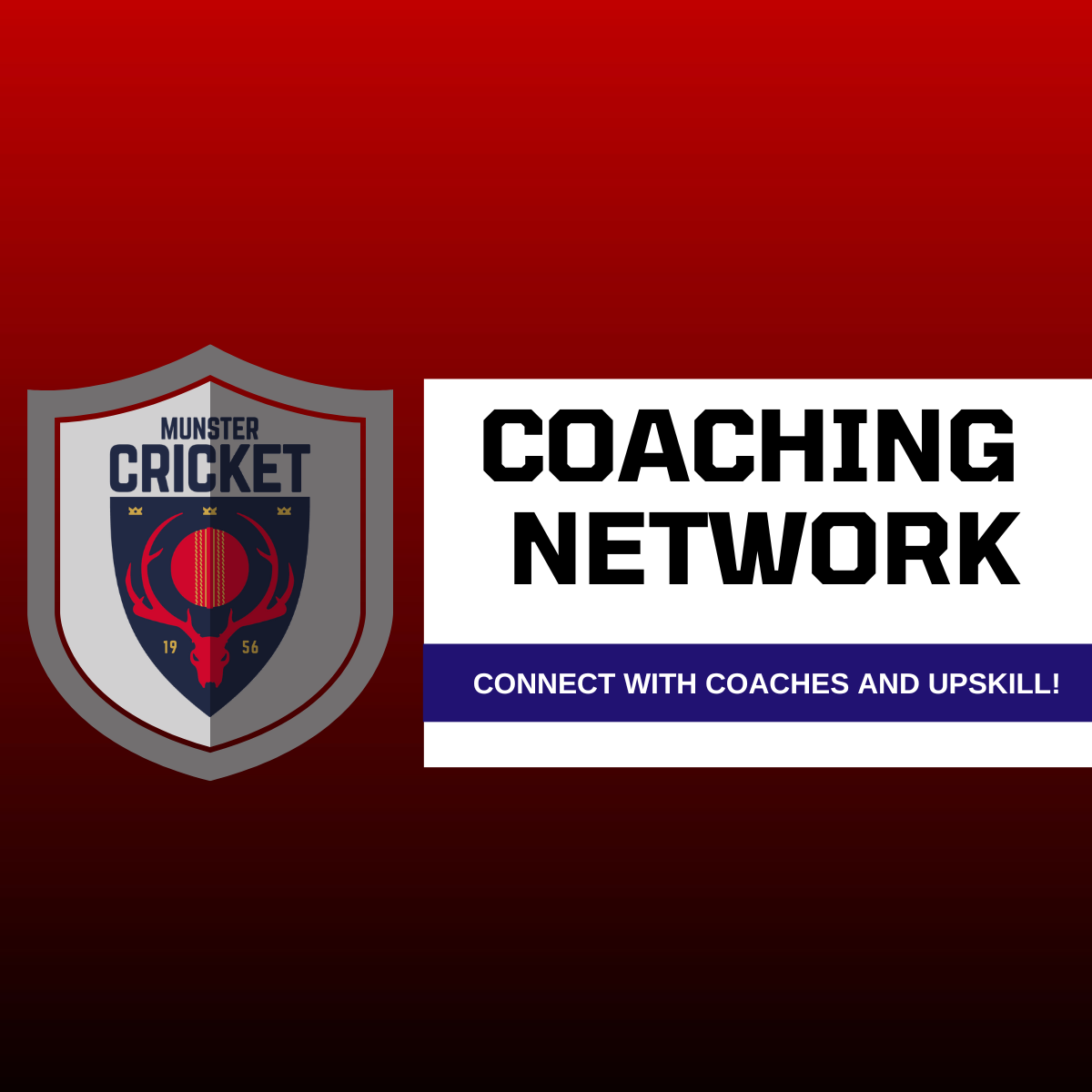 NEW! MCU Coaching Network - Munster Cricket